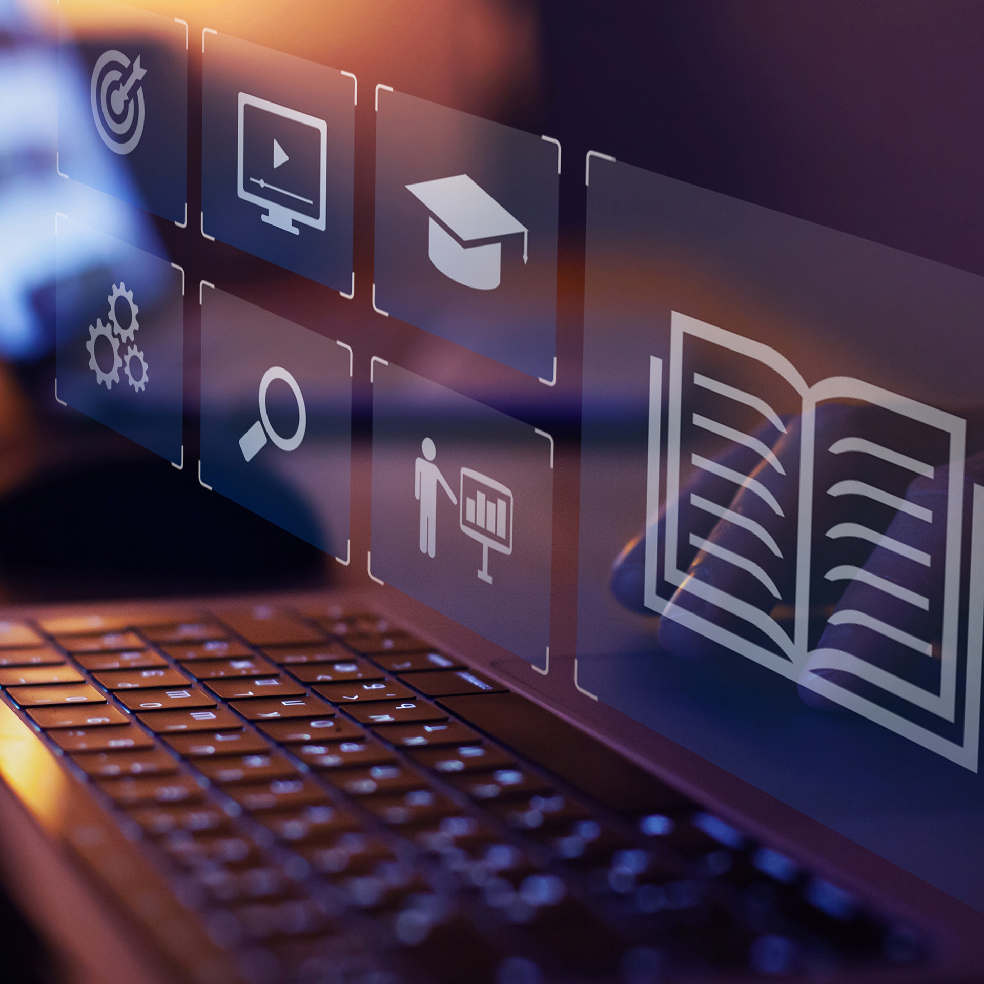 Learn - FranXpert | Discover your dream franchise.